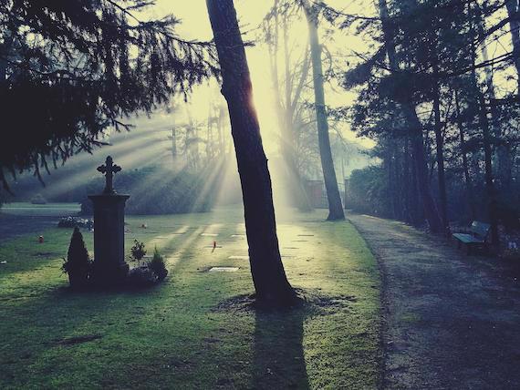 A misteriosa morte e renascimento de Marjorie McCall